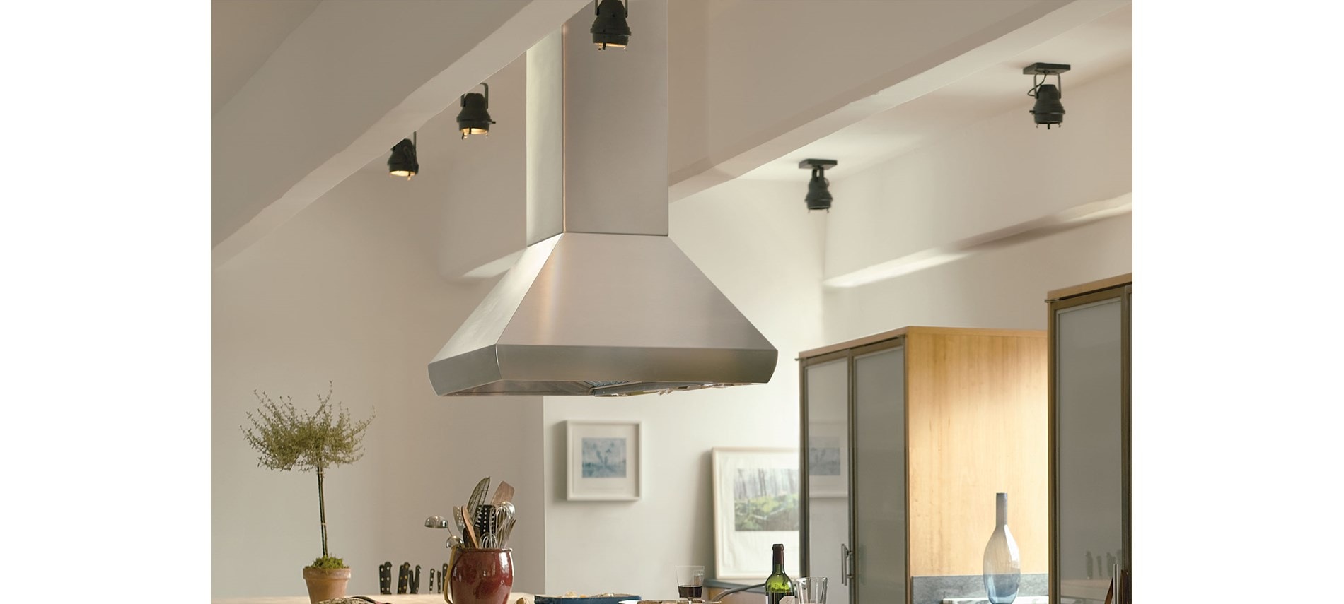 Campanas profesional de isla de 42" | PI423418 | Wolf Appliances